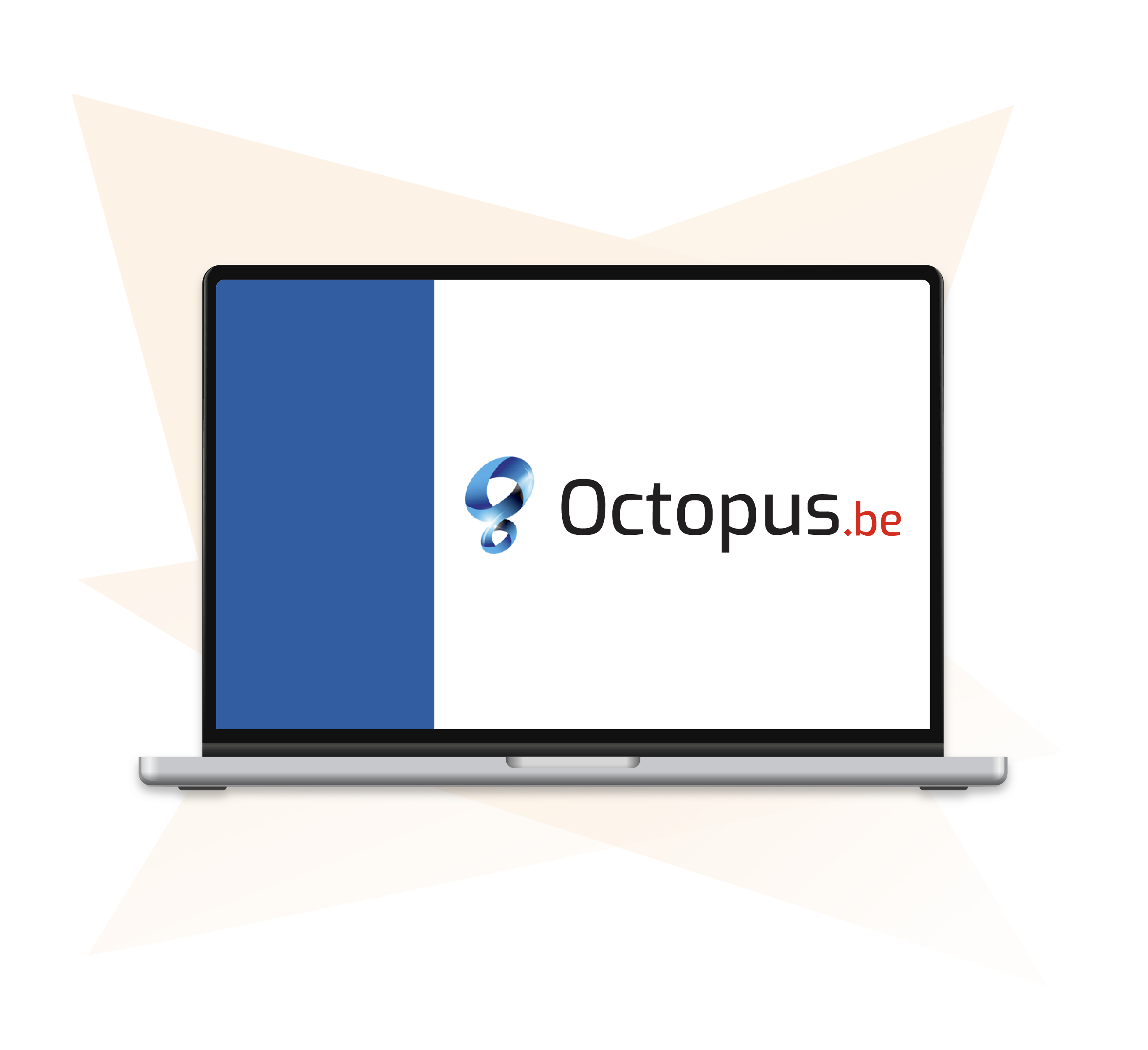 Integreer Octopus met Billit | Software voor Accountants